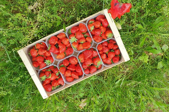 mes Producteurs mes Cuisiniers | Carte de vos Producteurs et Cuisiniers