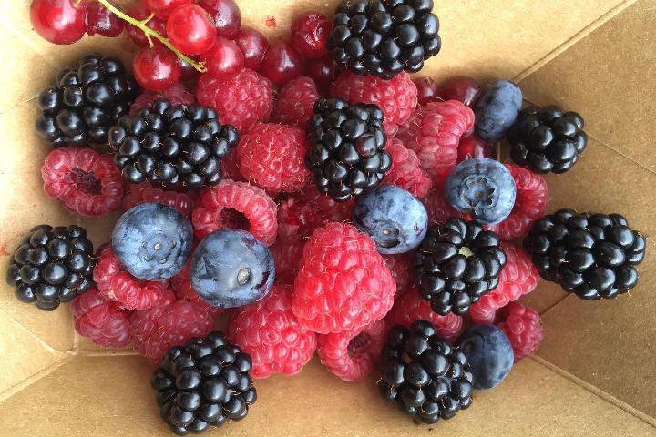 mes Producteurs mes Cuisiniers | Carte de vos Producteurs et Cuisiniers